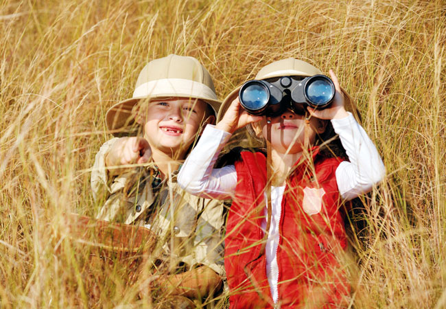 South Africa Birdwatching