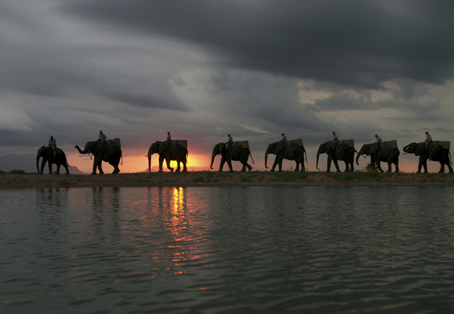 South Africa Elephant Back Safaris