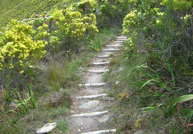 South Africa Hiking Trails
