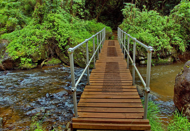 South Africa Hiking Trails