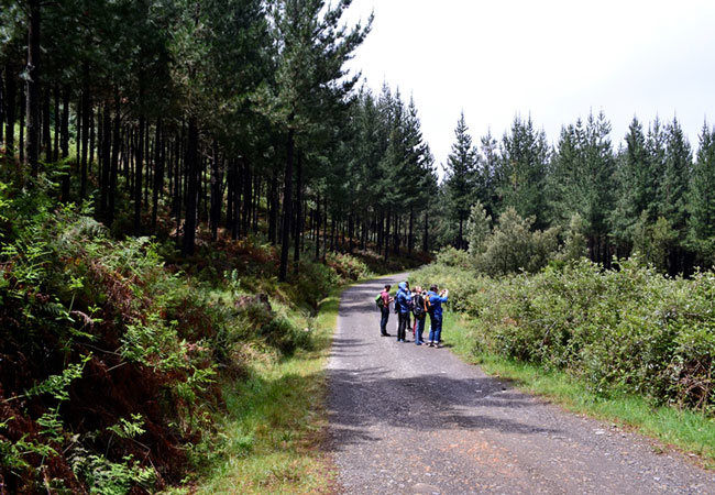 South Africa Hiking Trails