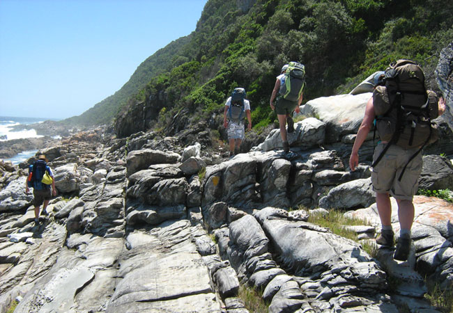 Hiking in Garden Route