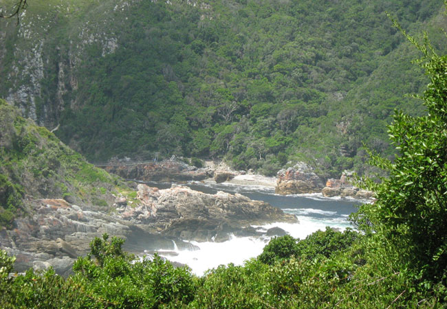 Hiking in Garden Route