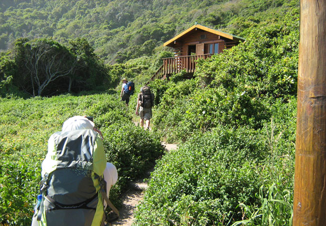 Hiking in Garden Route