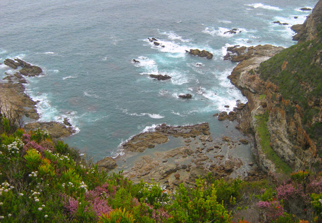 Hiking in Garden Route