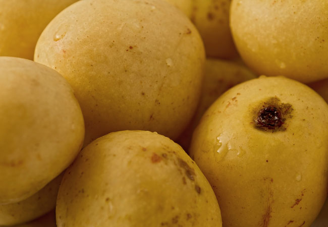 VENDA - South African Language Venda