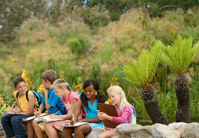 AFRIKAANS - South African Language Afrikaans