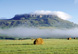 Free State Attractions