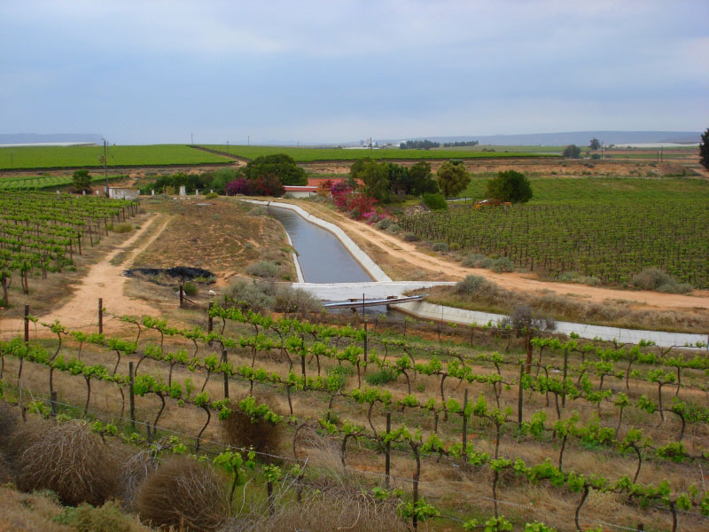 Vredendal, Western Cape | South African History Online