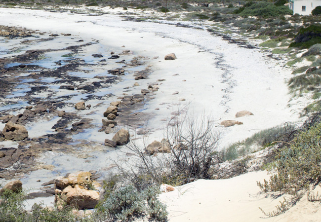 Elands Bay
