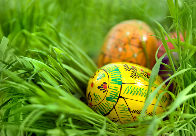 Family Day in South Africa