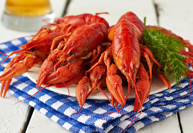 Lamberts Bay Crayfish Festival in Lamberts Bay