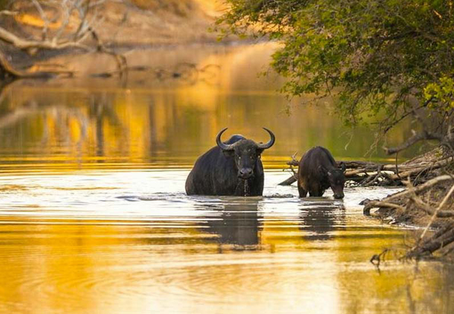 African Blue Tours, South Africa Tailor-made Tours and ...