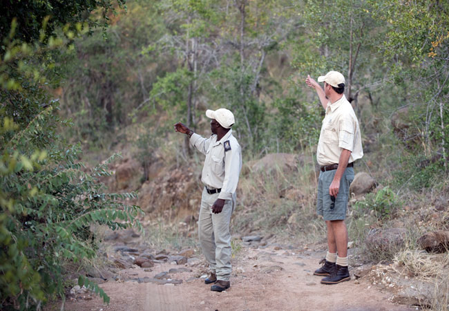 South Africa Tour Guides