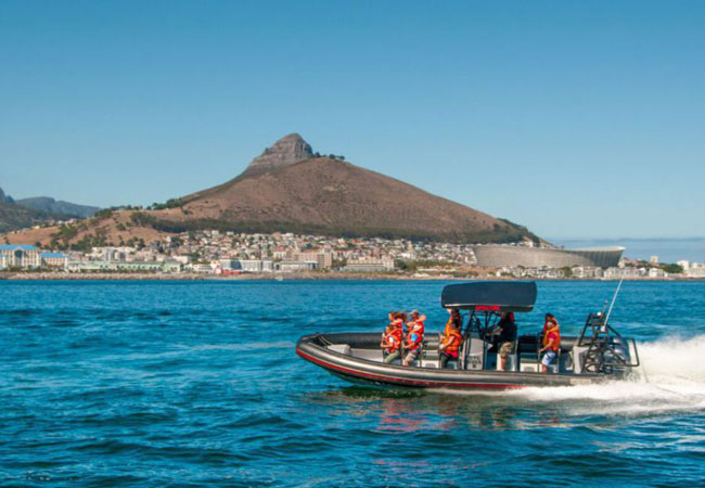 Waterfront Charters, Cape Town Daily Scheduled Boat Trips ...