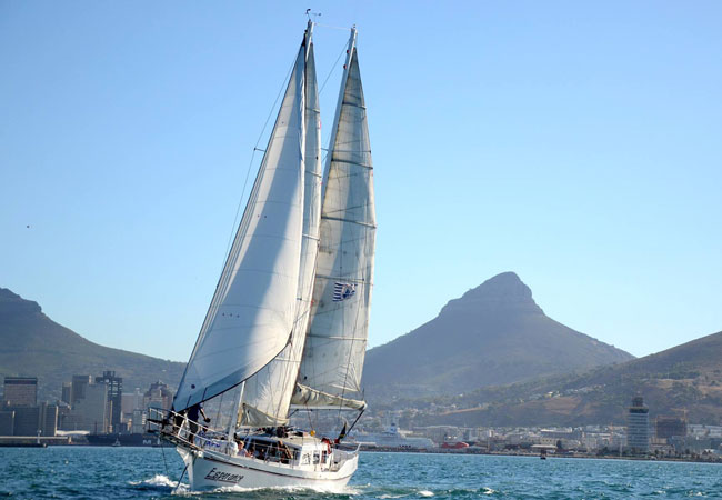 Waterfront Charters, Cape Town Daily Scheduled Boat Trips ...