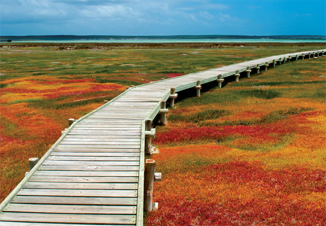 West Coast National Park