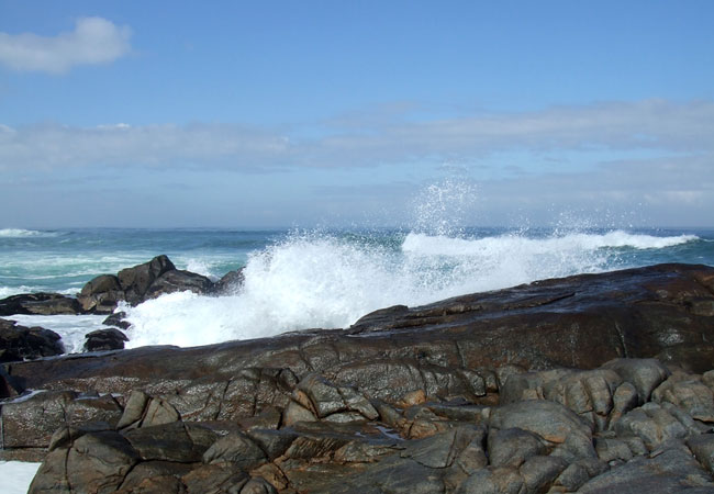 West Coast National Park