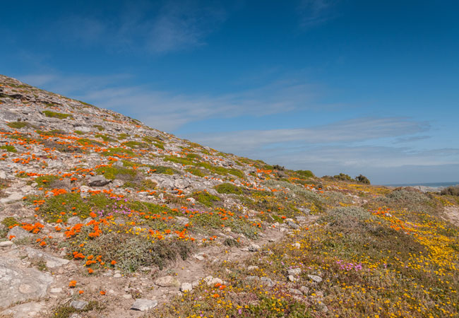 West Coast National Park