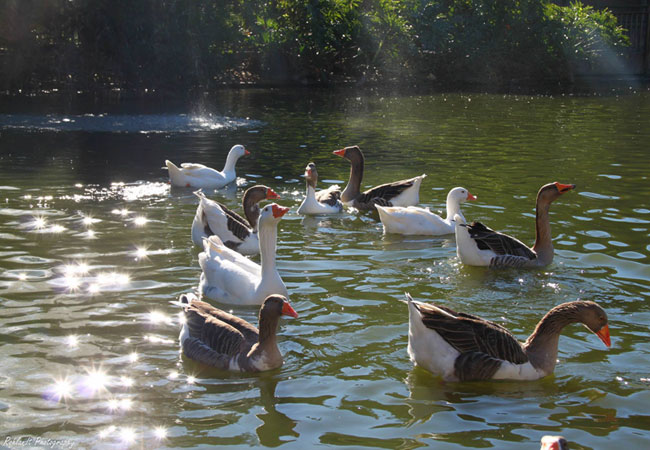 East London Zoo in East London, Eastern Cape
