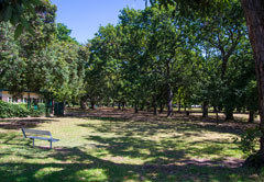 Stellenbosch Parks & Gardens