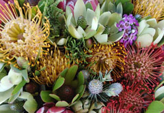 Things To Do in Piketberg