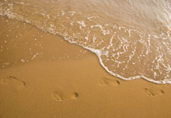 Northern Cape Beaches in Port Nolloth, Northern Cape