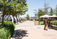 Things To Do in Midrand