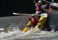 Things To Do in Broederstroom