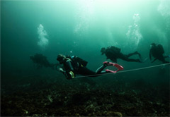 Things To Do in Scottburgh