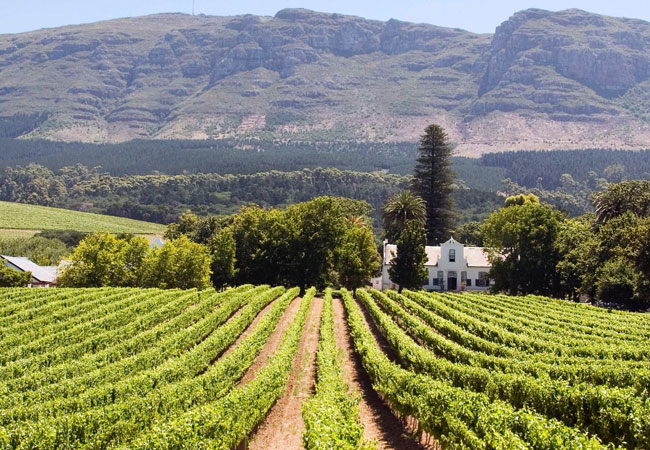 David Frost Wine Farm in Paarl, Western Cape