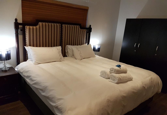 Beautiful Abalone in Hermanus, Western Cape