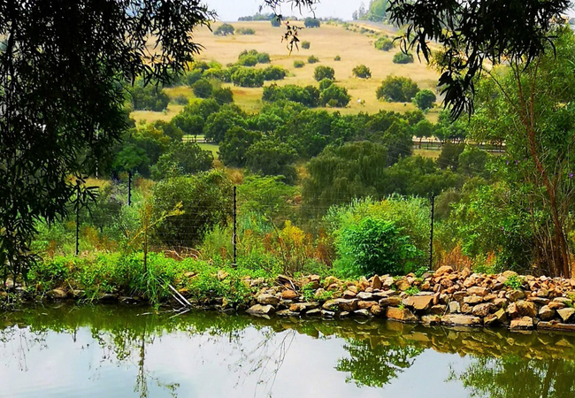 Lethabo Estate Farmhouse in Lanseria, Gauteng