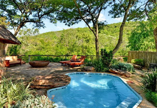 Royal Morubisi Founders Lodge in Vaalwater, Limpopo