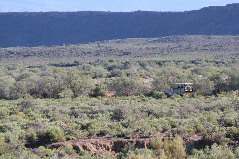 Riverine Rabbit Habitat